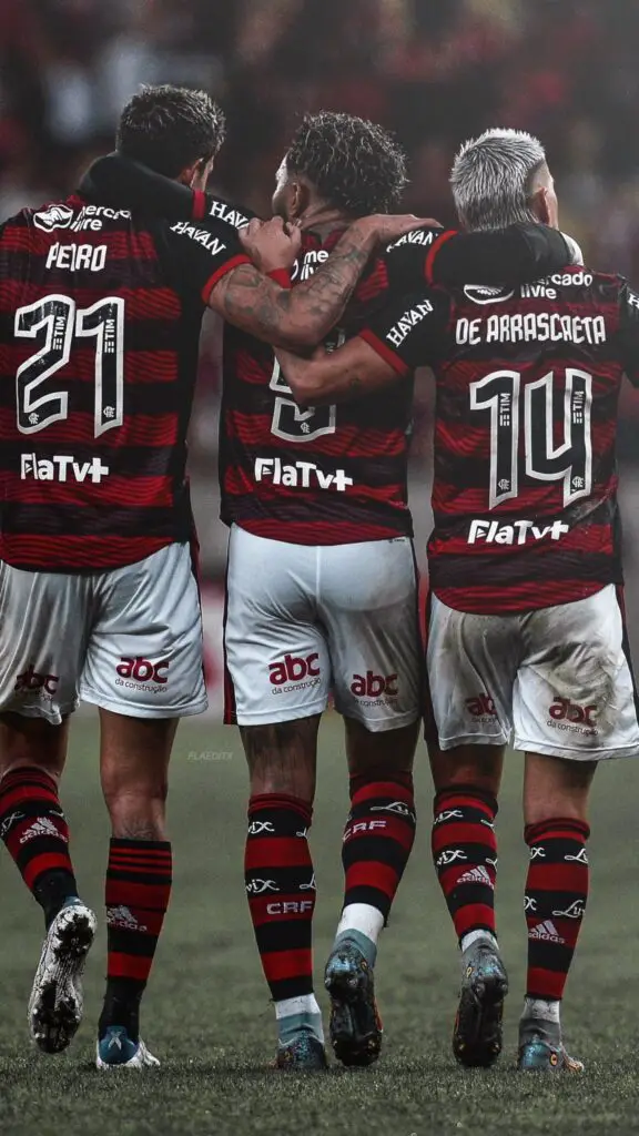 Procurando Wallpaper do Flamengo?